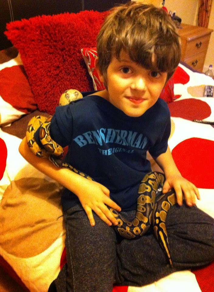 Eek!! Brave boy!